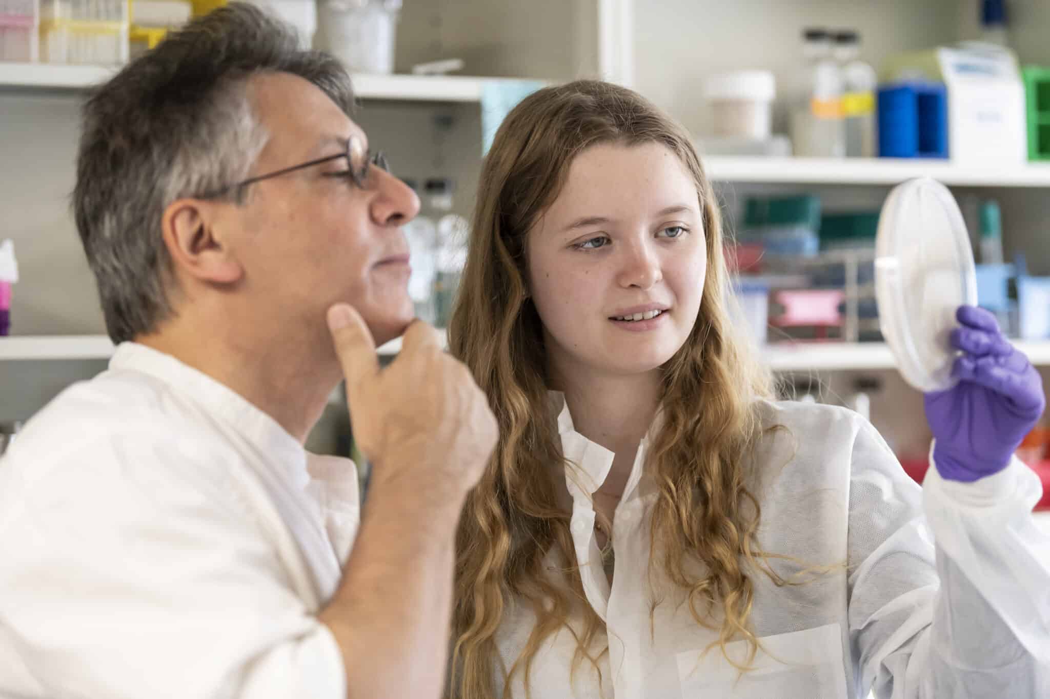 Emily's Entourage » Three New Phages Developed for Nontuberculosis ...